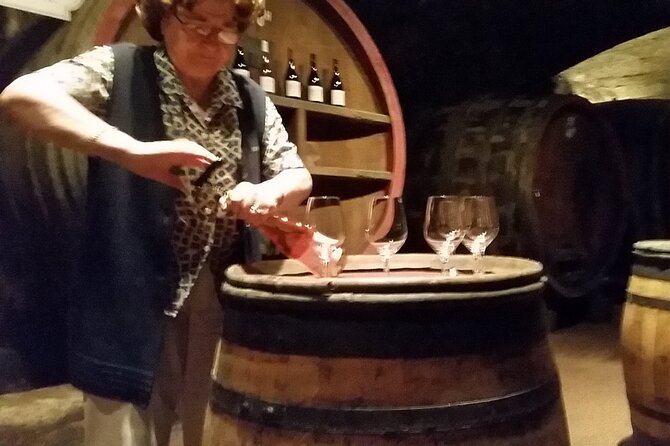 Beaujolais Region Wine Tasting Private Day Tour from Lyon - The Itinerary: A Deep Dive into Beaujolais