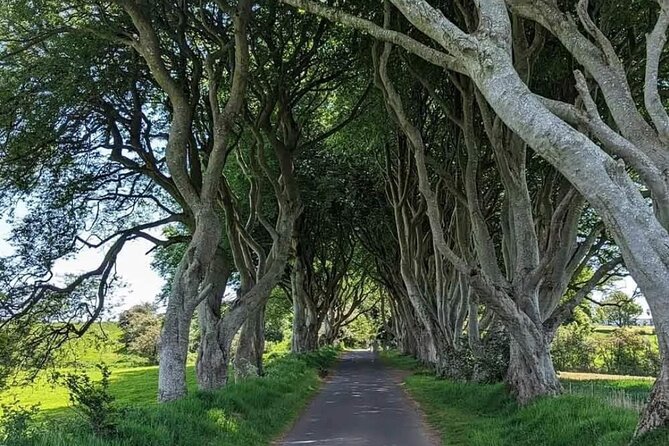 Belfast & Giants Causeway Luxury Mercedes Private Tour for 6 pax - Belfast & Giants Causeway Luxury Mercedes Private Tour for 6 pax: A Detailed Look