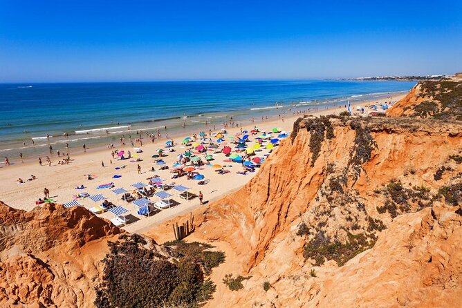Benagil And Dolphins Tour - An Honest Look at the Benagil and Dolphins Tour in Albufeira