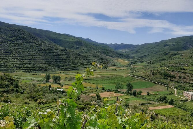 Berat 4x4 Off-Road and Vineyard Wine Tasting - Key Points