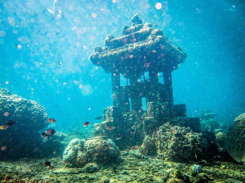 Best site for Course Diving in Amed - Introduction