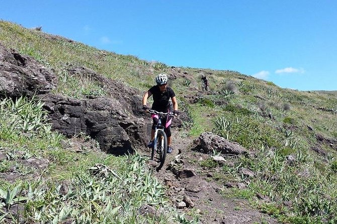 Bike Rental - Key Points