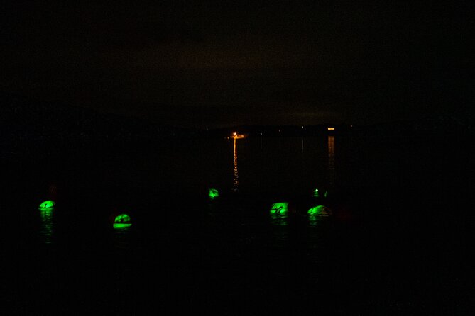 Bioluminescent Swim Experience in West Cork with Storytelling - Discover the Magic of Ireland’s Only Bioluminescent Swim in West Cork