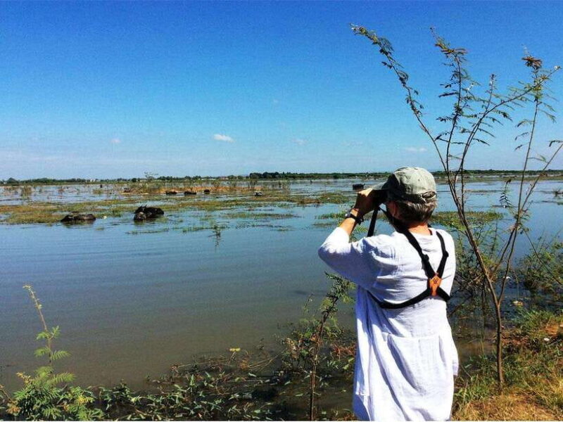 Bird Watching at Tonle Saps Inundated Forest From Siem Reap - Key Points