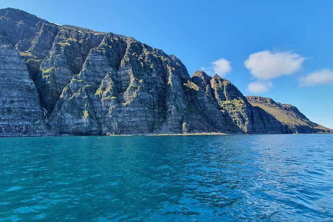 Boat Tours from Siglufjörður - Key Points