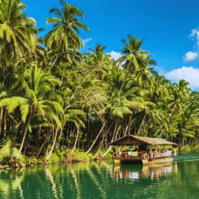 Bohol: Chocolate Hills Tour with Loboc River Cruise & Lunch - Key Points