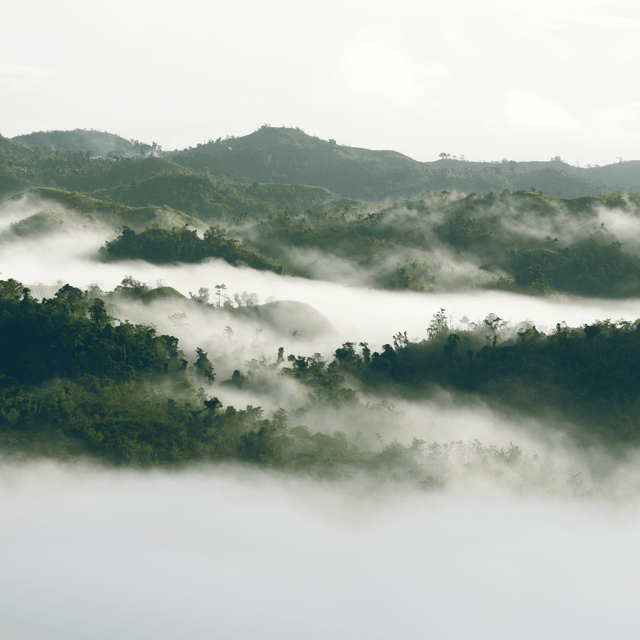 Bohol: Danao Adventure with The Plunge - The Sum Up