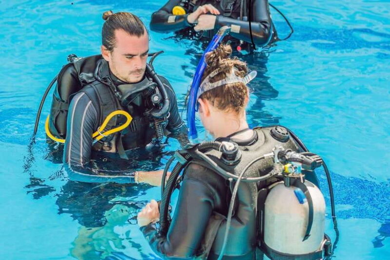 Bohol island: Fun dive local dive - Key Points