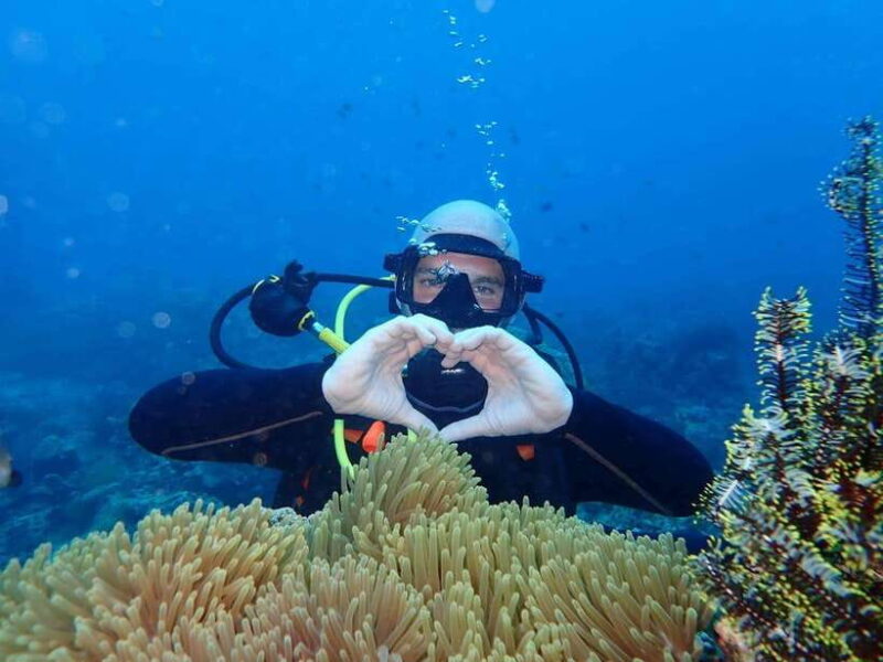 Boracay: 2-day Open Water PADI Diving Course - Key Points