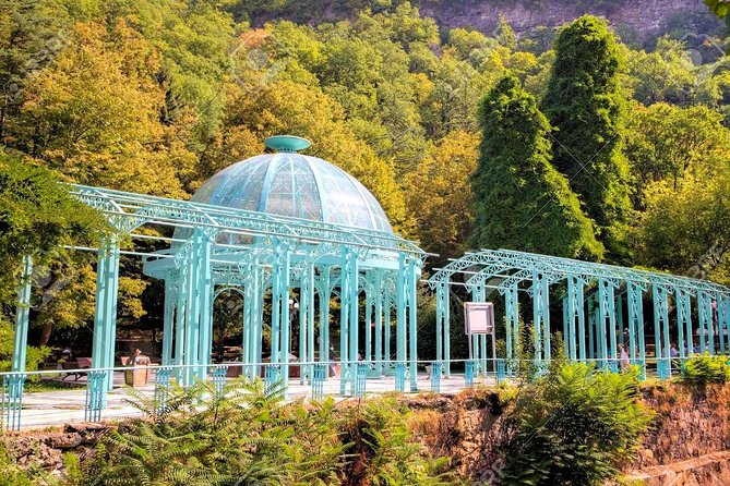 Borjomi National Park Full Day Private Tour From Tbilisi - An In-Depth Look at the Tour: What to Expect