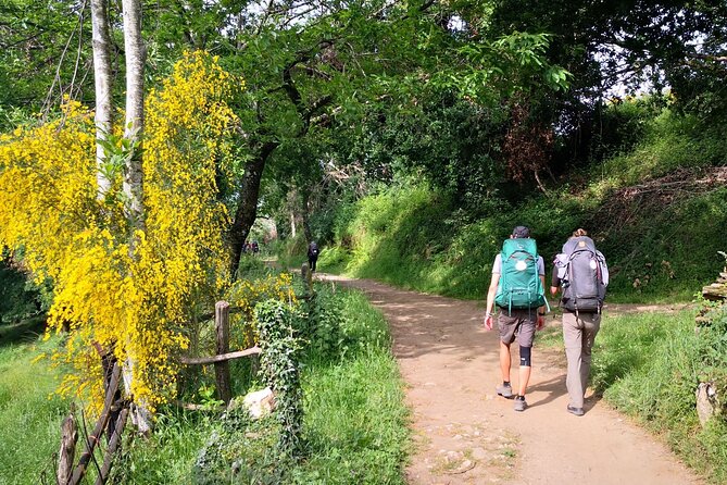 Camino de Santiago French from Sarria to Santiago de Compostela - Discovering the Camino de Santiago French from Sarria to Santiago de Compostela