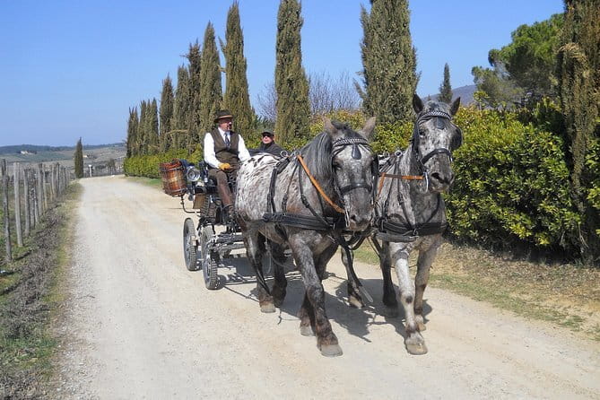 Carriage ride and Lunch in a typical restaurant in the heart of Chianti - Key Points