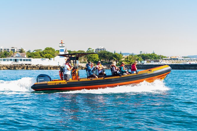 Cascais coast: Dolphin watching - Key Points