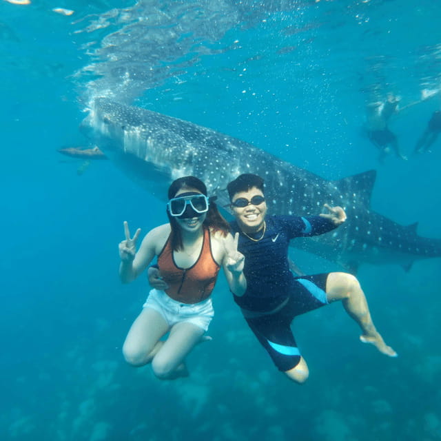Cebu: Small-Group South Cebu, Oslob and Simala 16-Hour Tour - Key Points