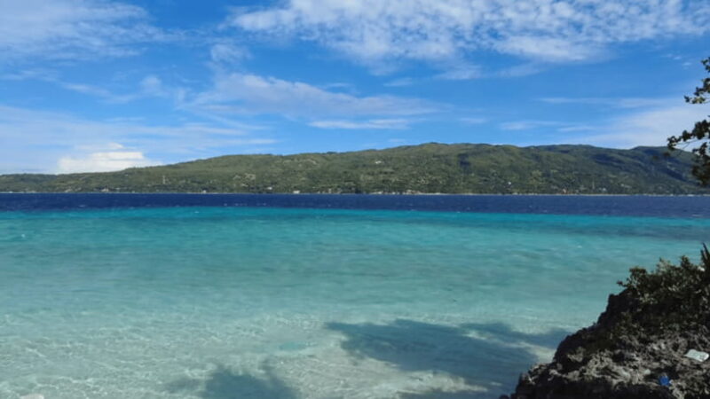 Cebu: Whale Shark Watching, Tumalog Falls & Sumilon Island - Key Points