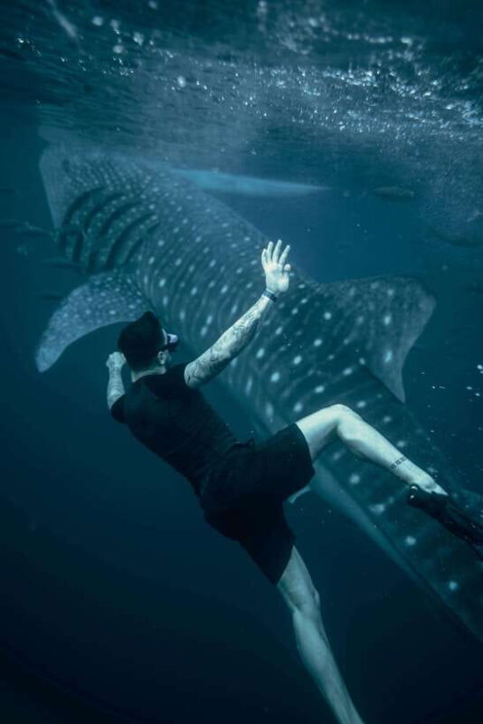 Cebu:Oslob WhaleSharkWatching,Kawasan Canyoneering - Key Points