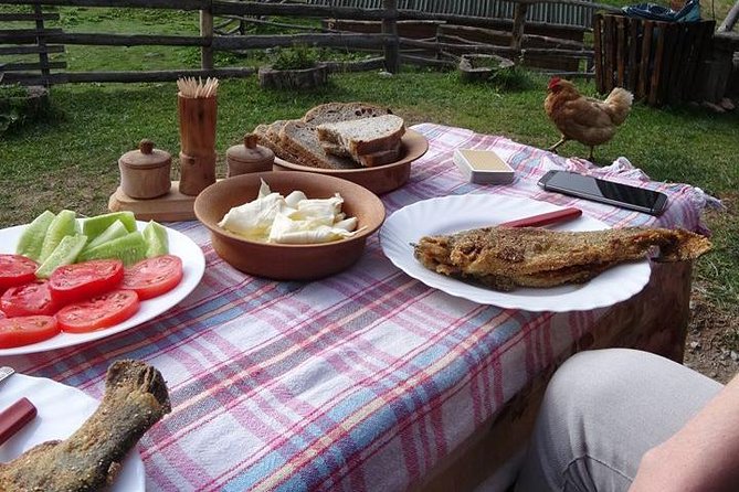 Cheese farm tour in the katun - Key Points