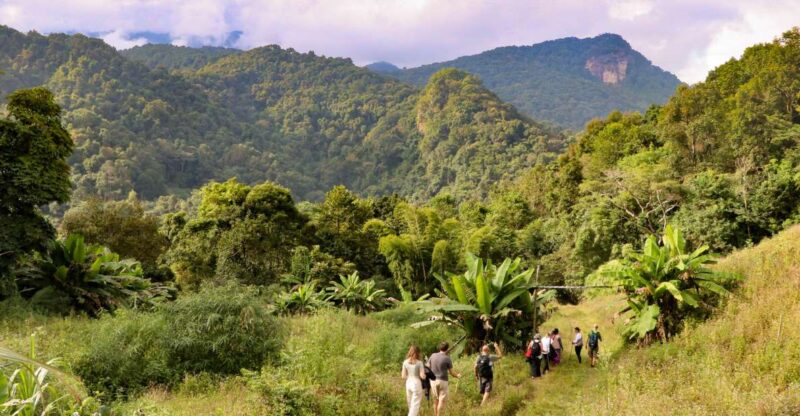 Chiang Mai: Doi Inthanon Highlights Small Group Tour - Key Points