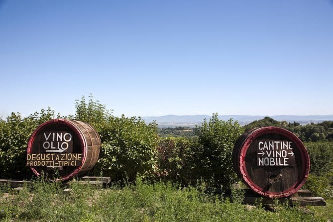 Chianti Region and San Gimignano including wine tasting and light lunch - Key Points