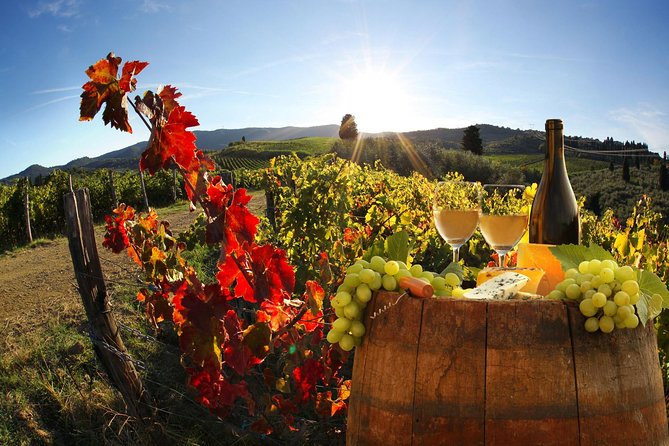 Chianti, SuperTuscan & San Gimignano - 2 wineries and light lunch - Discover the Charm of Tuscany on a Private Chianti & San Gimignano Wine Tour