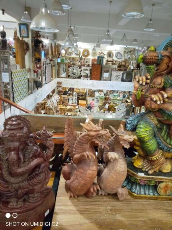 Cityscape Safari: Five Days of Discovery - Key Points