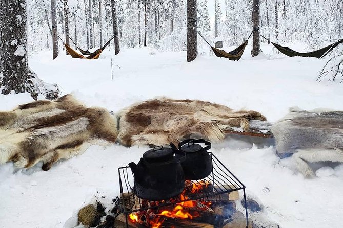 Cocooning in the HaliPuu forest: The ultimate Arctic hammock relaxation - Cocooning in the HaliPuu forest: The ultimate Arctic hammock relaxation
