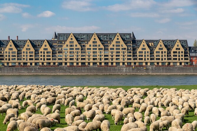 Cologne Private Roundtrip transfer incl. chocolate museum tickets - A Practical Guide to the Cologne Private Day Trip