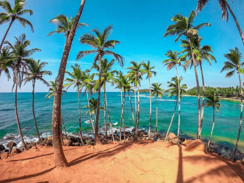 Colombo 6-Day Private Trip Culture, Nature, Wildlife, Beach - Key Points