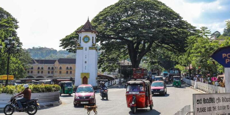 Colombo: Pinnawala Orphanage, Kandy Temple of Tooth day trip - Key Points