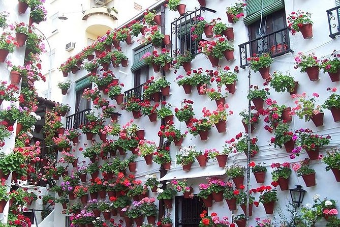 Cordoba private tour from Granada for up to 8 persons including the great Mosque - Key Points