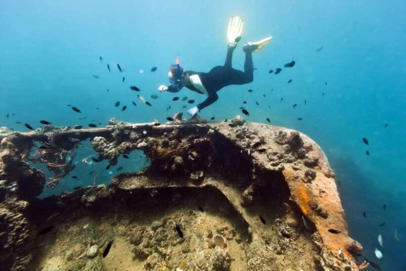 Coron Private Tour D: Reef and Wrecks - Coron Private Tour D: Reef and Wrecks — A Deep Dive into History and Nature