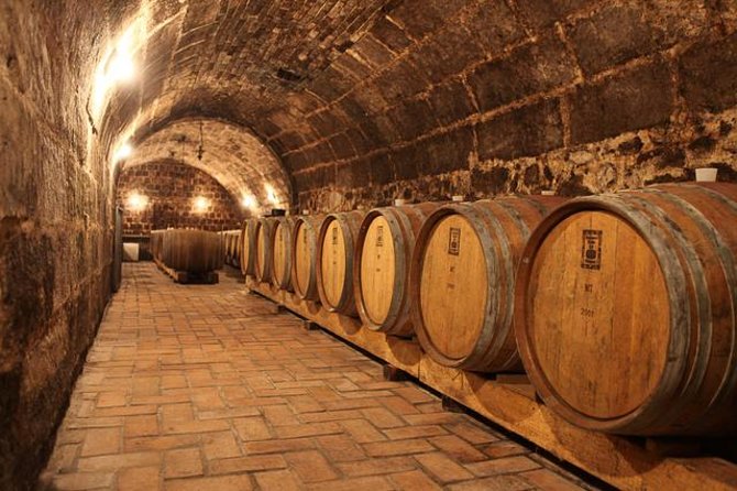 Countryside Half-day Wine Tour near Budapest with Meal and Pickup - Exploring the Countryside Half-day Wine Tour near Budapest