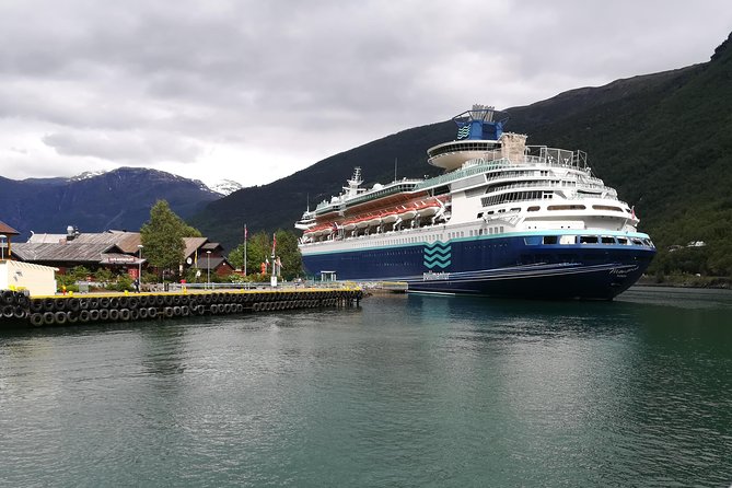 Cruise Special: Private Trip To Canyons And Waterfalls With Flåm Railway - Introduction