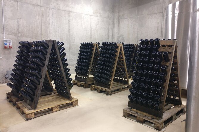 Day trip from Bratislava: Winery Tour with Wine Tasting in the Countryside - Exploring the Itinerary in Detail