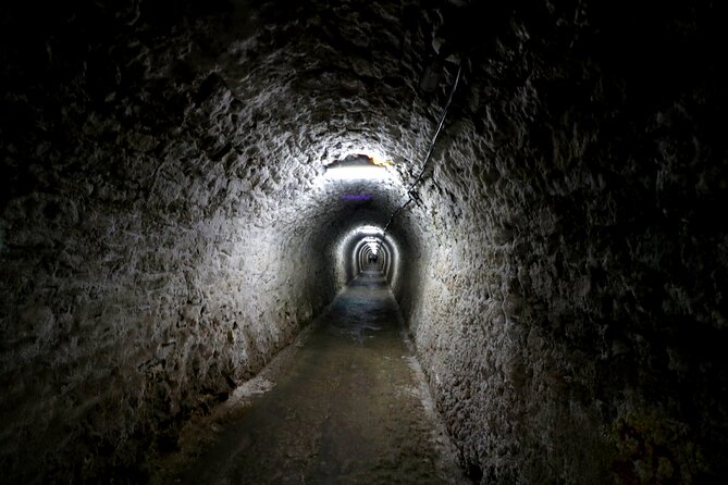 Day Trip to Turda Salt Mine and Corvin Castle from Timisoara - A Detailed Look at the Experience