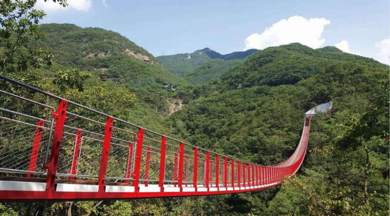 DMZ (3rd Tunnel)+Suspension Bridge Guided Private Tour - Introduction