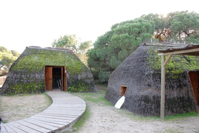 Doñana Natural Park Full-Day Tour from Seville - Key Points