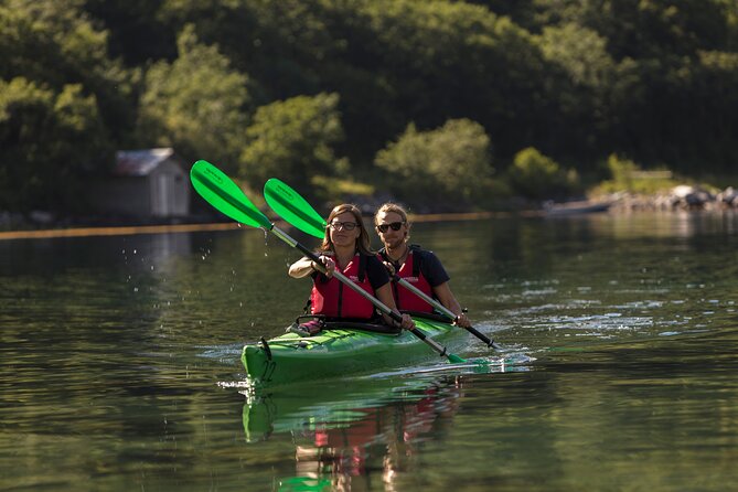 Double Kayak Rental in Geiranger (Excursions.no) - Discovering Geirangerfjord by Kayak: A Practical Review of Excursions.no’s Double Kayak Rental