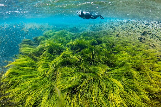Double Snorkeling Adventure near Húsavík in North Iceland - Key Points