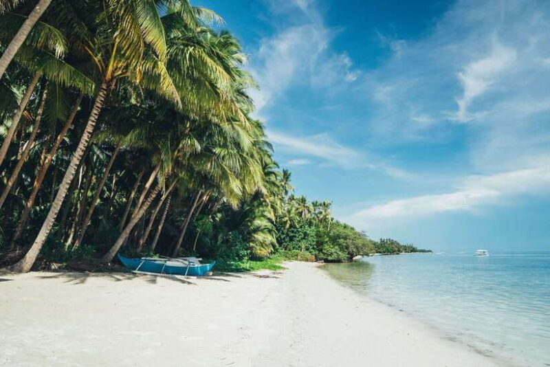 Dumaguete: Siquijor Island & Cambugahay Falls Private Tour - Key Points