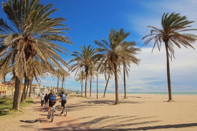 E-bike Tour: Beaches, & City of Arts and Sciences (From 30,00) - Key Points