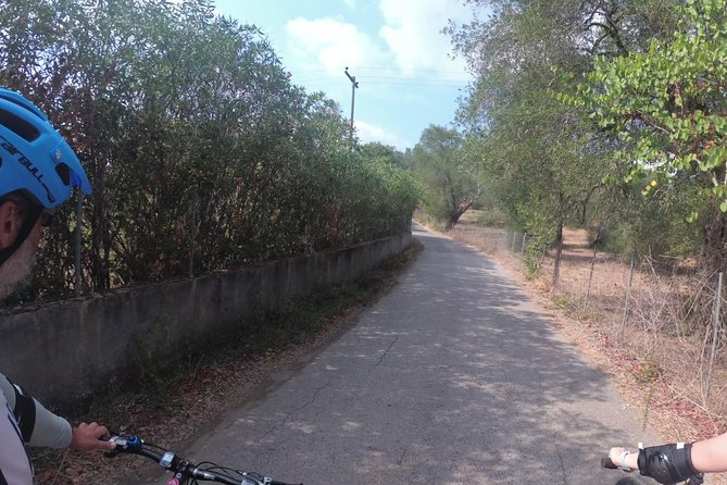 e-MTB Tour - Durrells Farm & Crab Lake [30Km - 18Mi] - Key Points