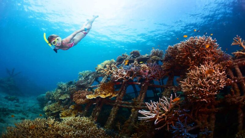 East Bali: Snorkeling, Canyoning, and Waterfall Day Trip - Key Points