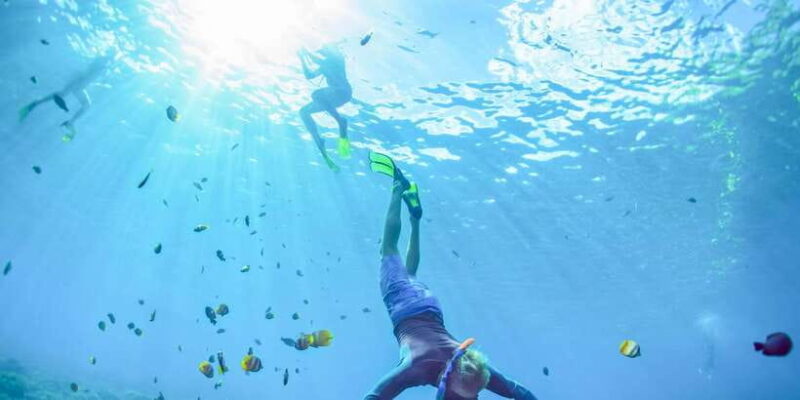 East Bali: Snorkeling Day Trip to Amed - Key Points