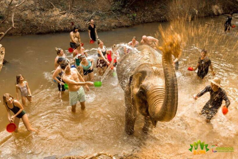 Elephant Sanctuary Cambodia, Pickup and drop off included - Introduction