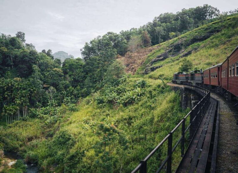 Ella Day Tour: with Tea Factory Visit from Colombo - Key Points