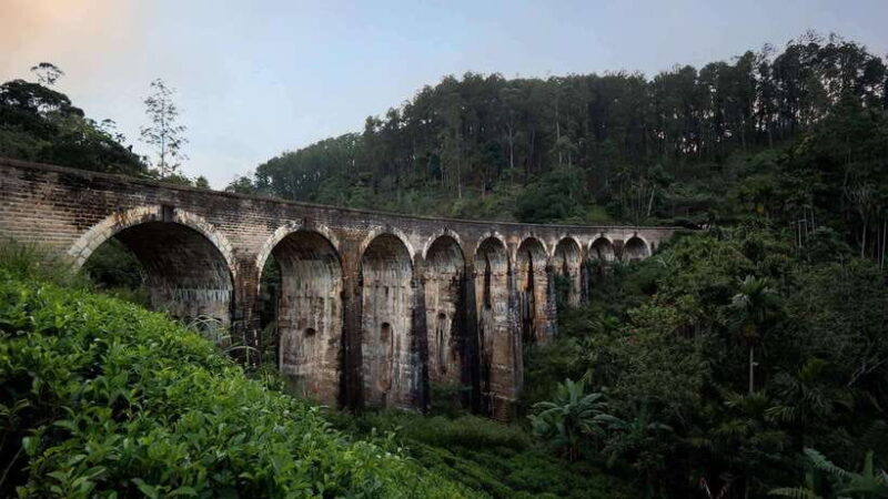 Ella Day Tour: with Tea Factory Visit from Galle - Key Points