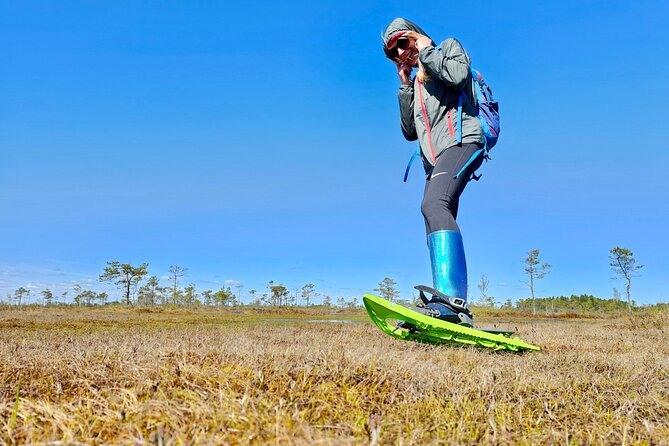emeri Bogs Adventure: Explore Wetlands In Bog Shoes - Exploring the Wetlands of Latvia: The Kemeri Bog Adventure in Bog Shoes