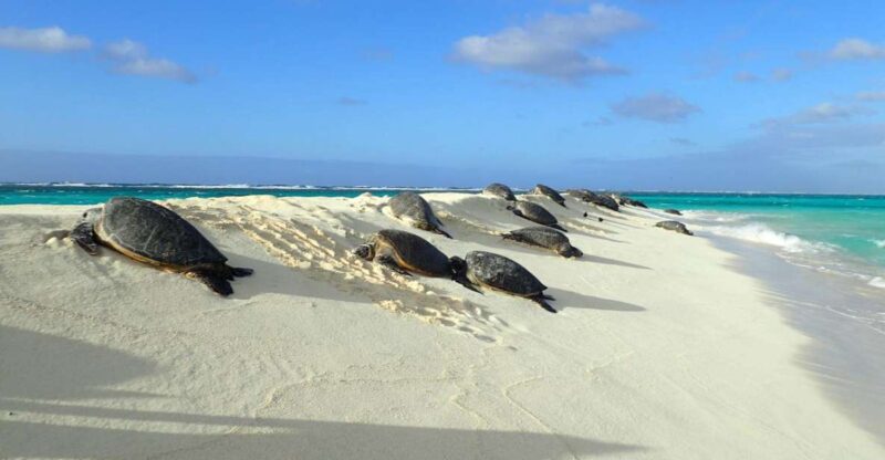 Enchanting Small Group Circle Island Tour of Oahu paradise - Enchanting Small Group Circle Island Tour of Oahu Paradise