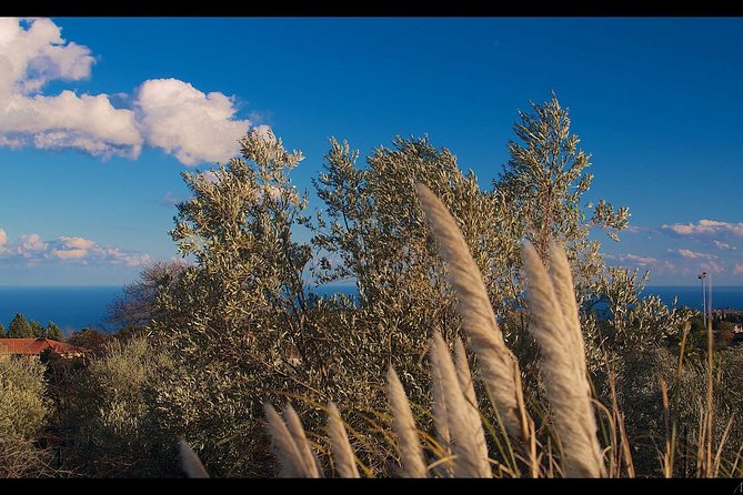 Etna Volcanic Yoga and Meditation Weekend (Private Experience) - Exploring the Etna Volcanic Yoga and Meditation Weekend: A Deep Dive